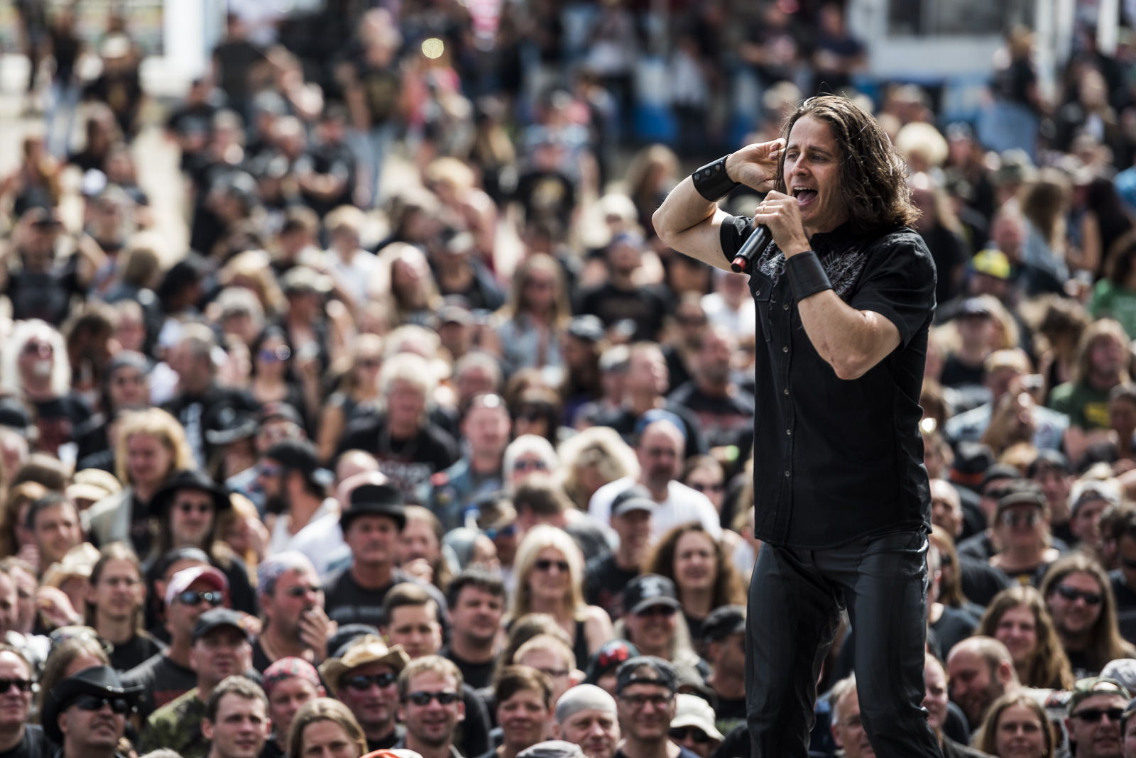 Live Shows - Todd Hall